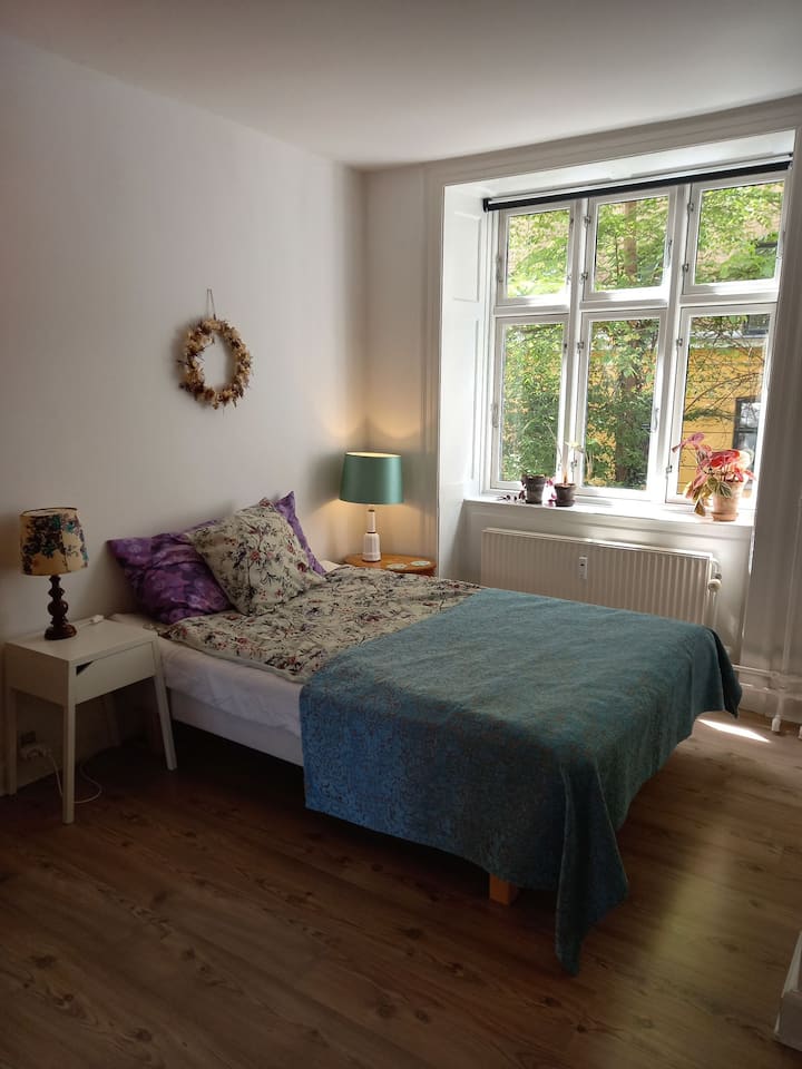 Hyggeligt Værelse Ved Søerne - Copenhague