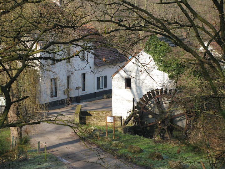 Studio "De Beekjuffer" Vakantieverblijf Volmolen - Maaseik