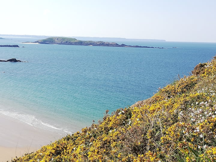 Appartement Saint-lunaire Proximité Immédiate Mer - Saint-Lunaire