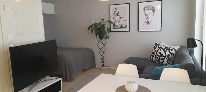 Kodikas Moderni Yksiö Lähellä Lentokenttää. - Vantaa