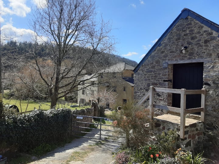Historical  Heritage Listed Mill And Smallholding - Bovey Tracey