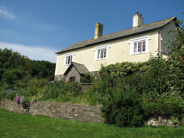 Woodgate - Boscastle