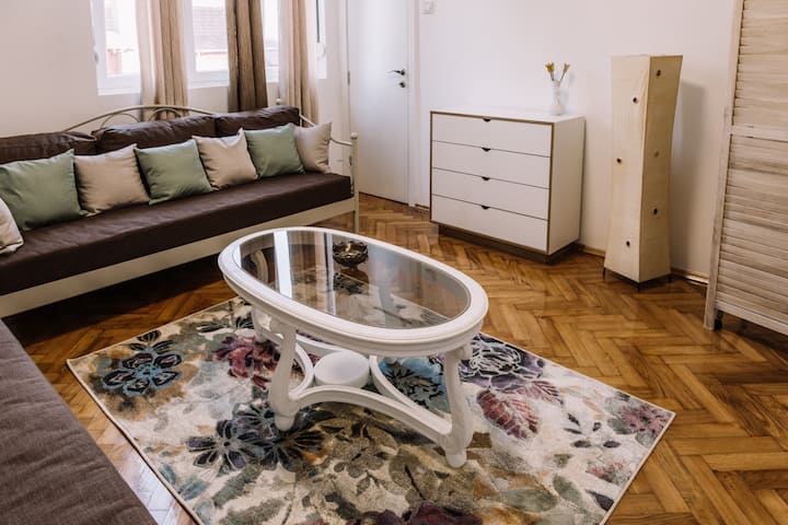 Comfy & Cozy Apartment In The City Center - Podgorica