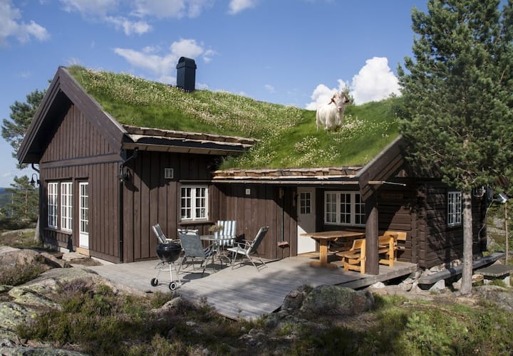 "Stallen", Ei Moderne Tømmerhytte På Blefjell - Norway