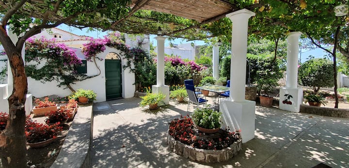 Il Giardino Nascosto Nel Cuore Di Anacapri - Anacapri