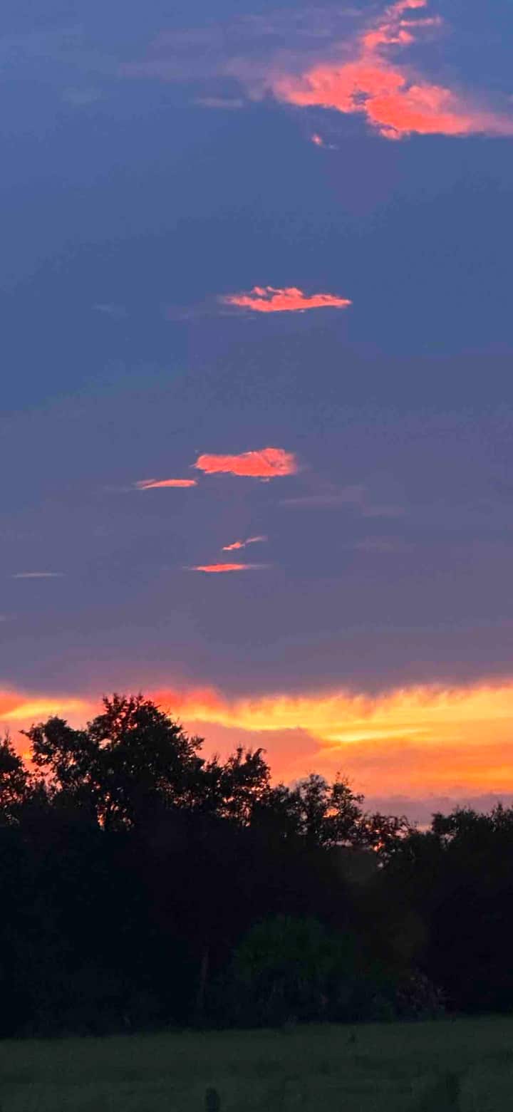 Beachtown Gem, Near Holman Stadium & Beach. Pet Ok - Vero Beach, FL