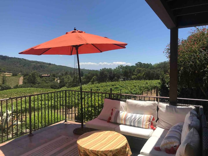 Vineyards, Valleys, Pool/spa - Wine Country Gem - Glen Ellen, CA