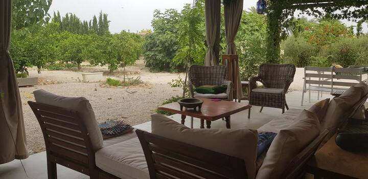 Charming Modern Orchard House And Eco-friendly Arts Space. - Archena