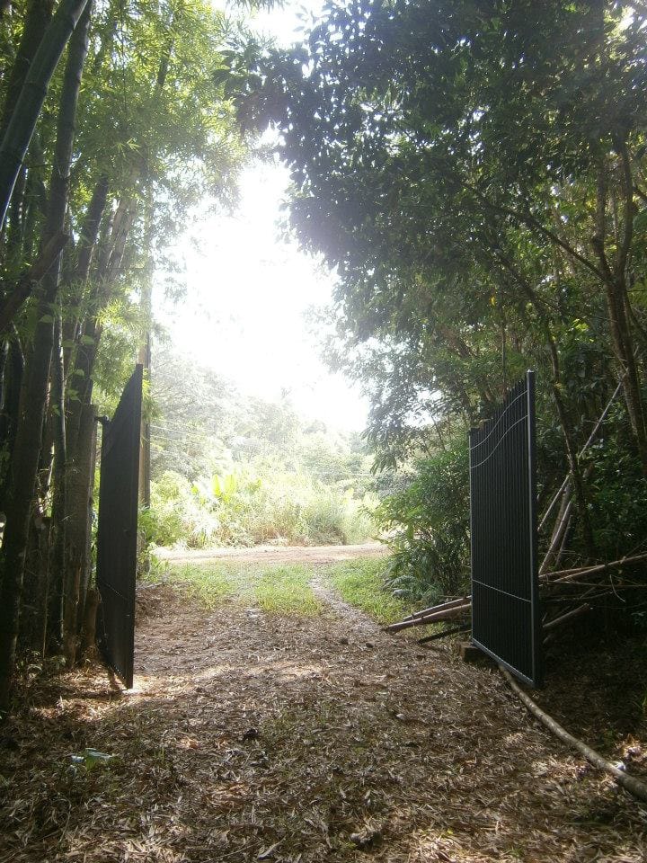 Bambu'spa Em Natureza Exuberante! - Indaial