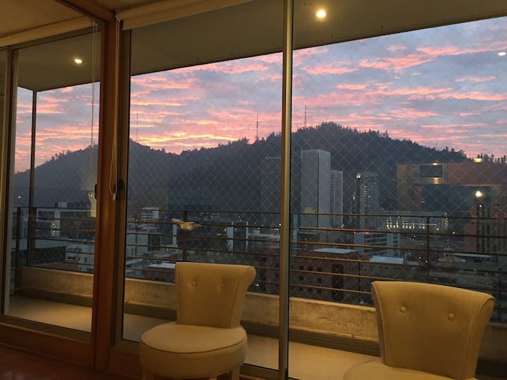 Departamento Providencia Con La Mejor Ubicación ¡¡ - Providencia