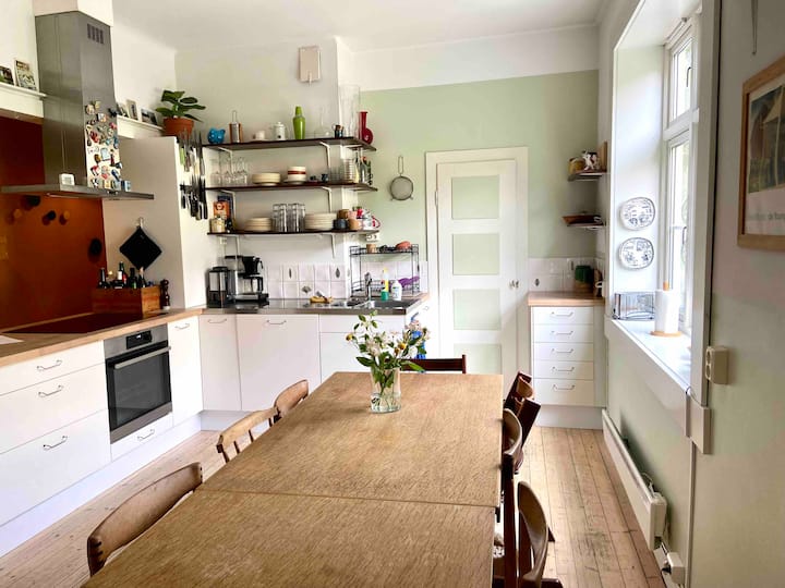 Stor Og Sjarmerende Leilighet Ved Torshovparken - Oslo