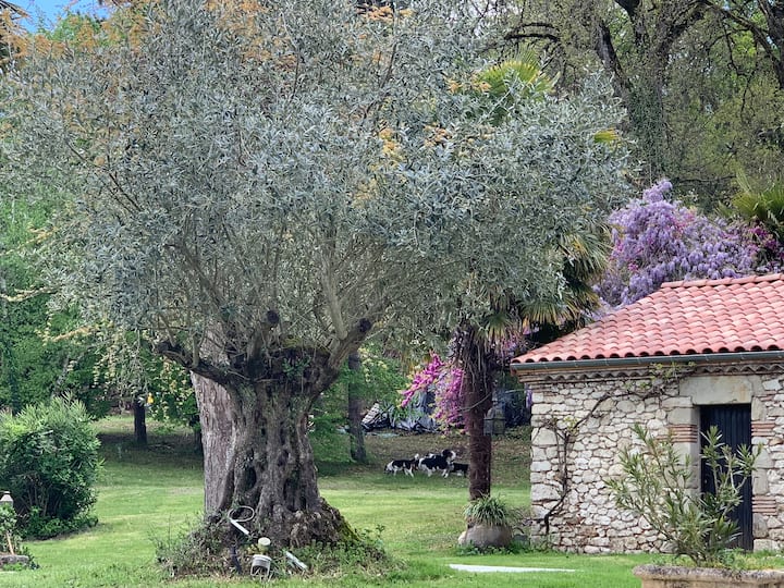 Villa Exceptionnelle - Pont-de-Montvert-Sud-Mont-Lozère