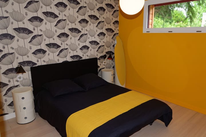 Les Tortues Ont Des Ailes - Cergy