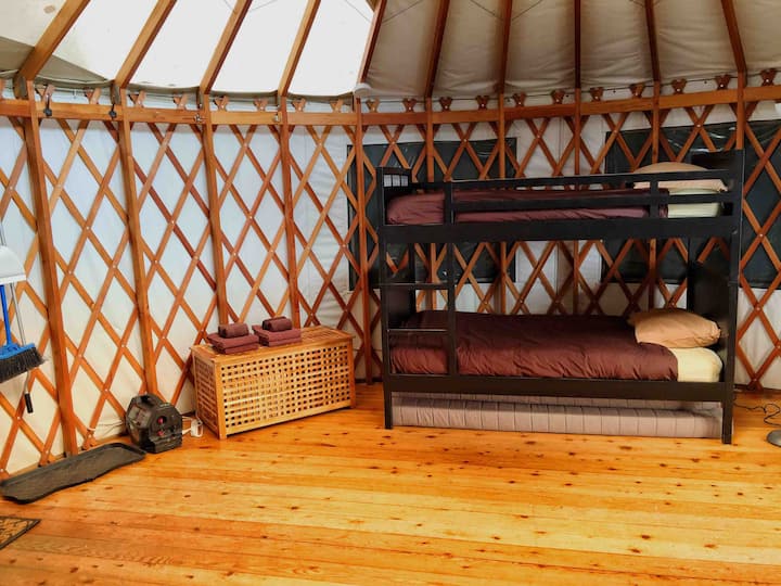 Top 19 Yurts In British Columbia, Canada - Updated 2025 | Trip101