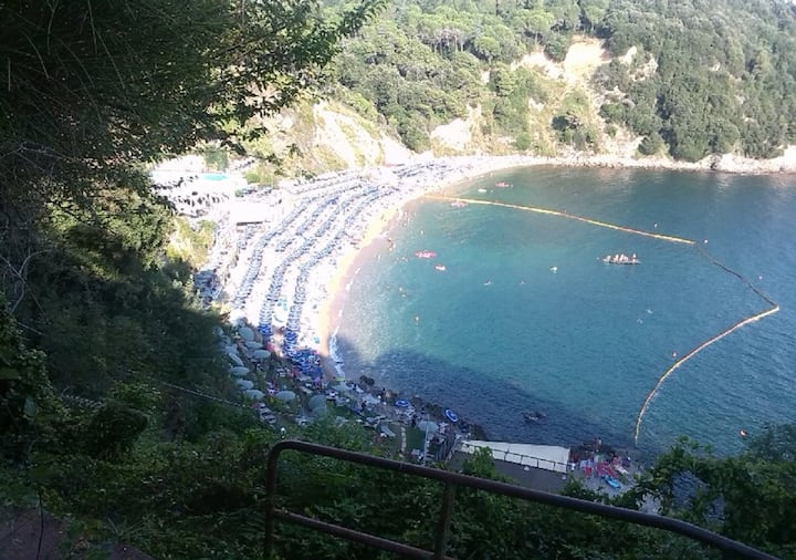 A Due Passi Dalla Baia Blu E Nel Verde Di Lerici - Lerici
