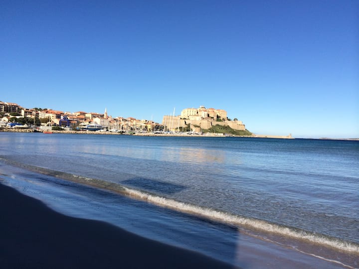 Très Beau 2 Pièces Bien Situé à Calvi - Calvi