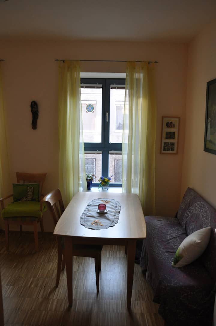 Sonniges Zimmer Inkl Eigener Dusche - Wien