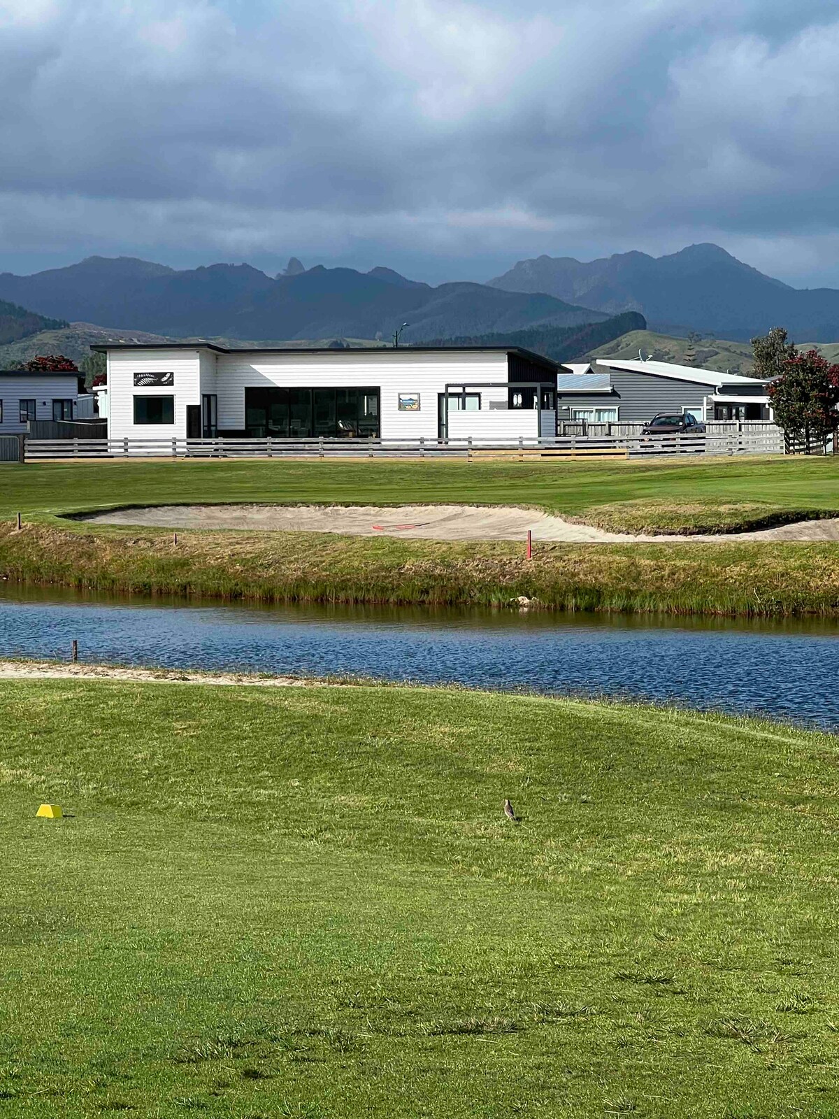 Stunning Sunny Matarangi Golf Course/Lake Views - Houses for Rent in ...