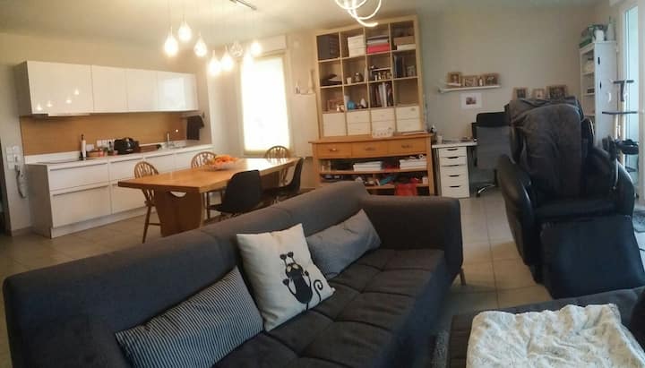 Cosy à Viry - Cruseilles