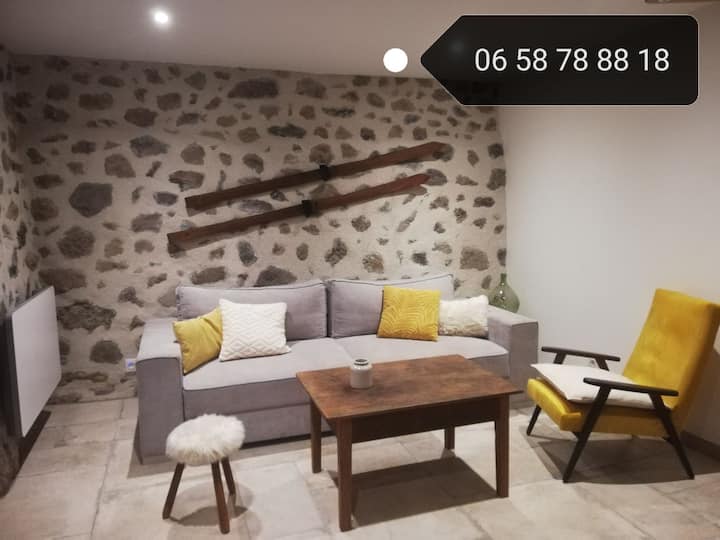 Maison En Pierre A L'air Pure - Vic-sur-Cère