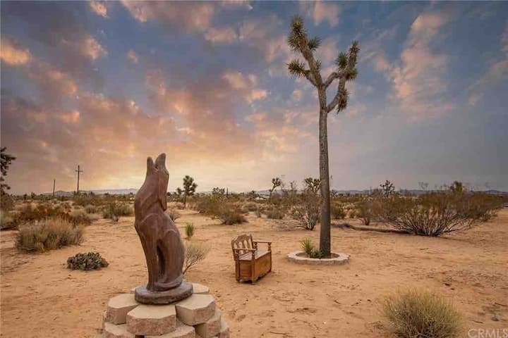 200+ Joshua Trees On The Property! - Yucca Valley, CA