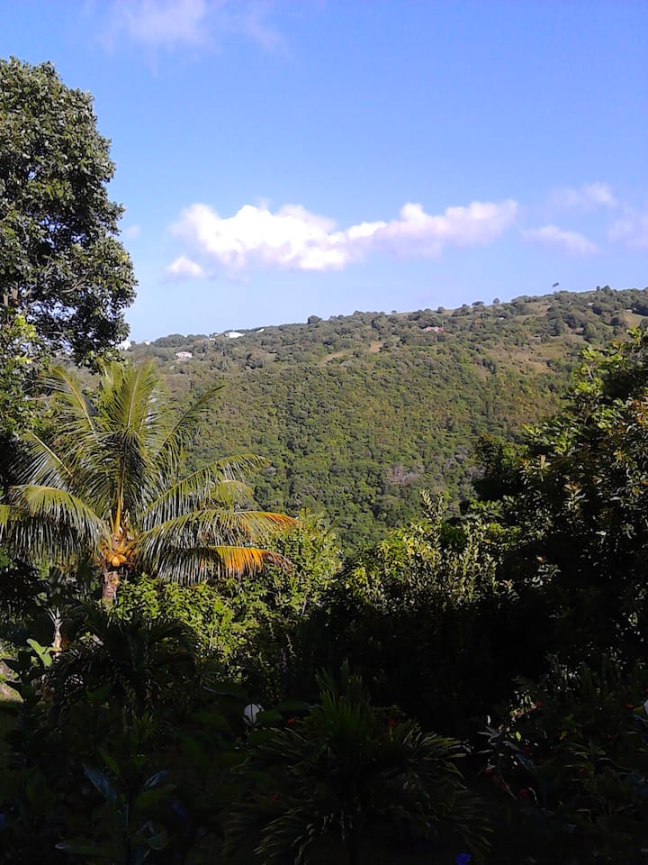 Pour Un Séjour Au Calme - Fort-de-France