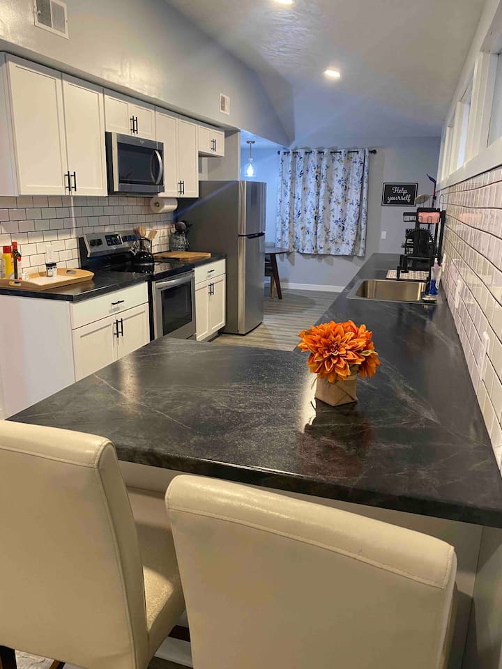 Downtown 3 Bed 2 Full Bath Updated Home - Binder Park Zoo, Battle Creek