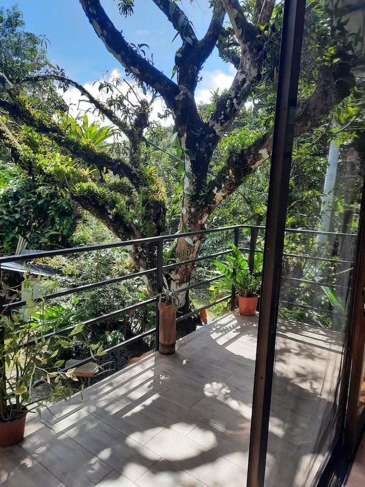 Apartamento áRbol De Mango - Playa Blanca