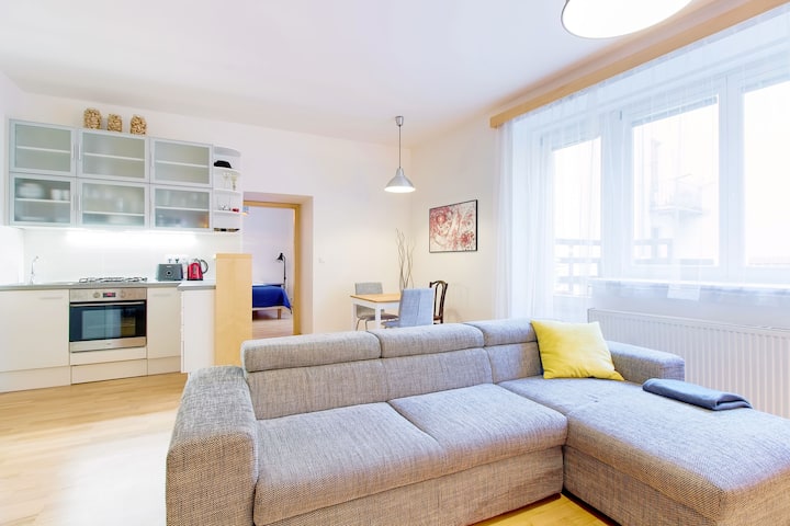 Apartment With Terrace "At The Three Princes" - Brno