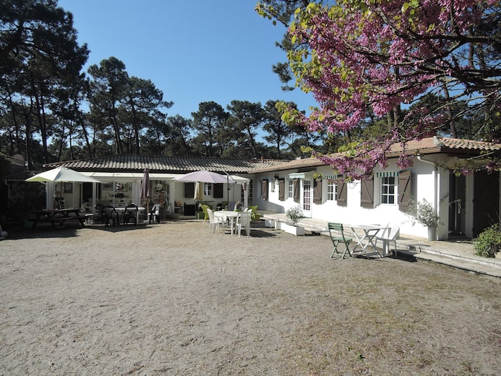 Villa Familiale  5 Ch  Gd Jardin  Proche Plage - Lacanau