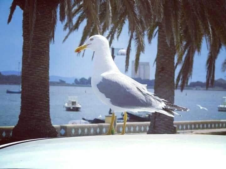 Sant'antioco - Appartamento Per 2 -Vista Mare - Sant'Antioco