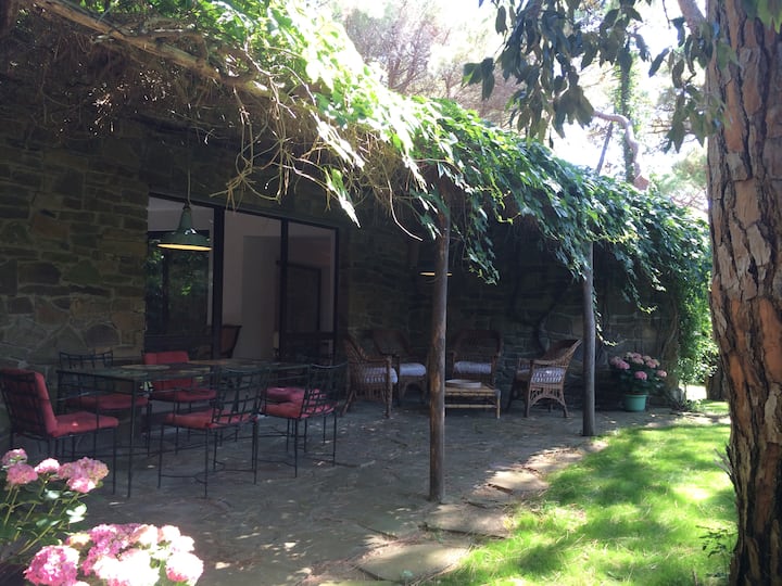 Super Sun Filled, Cozy, Airy, Green, Private Beach - Castiglione della Pescaia