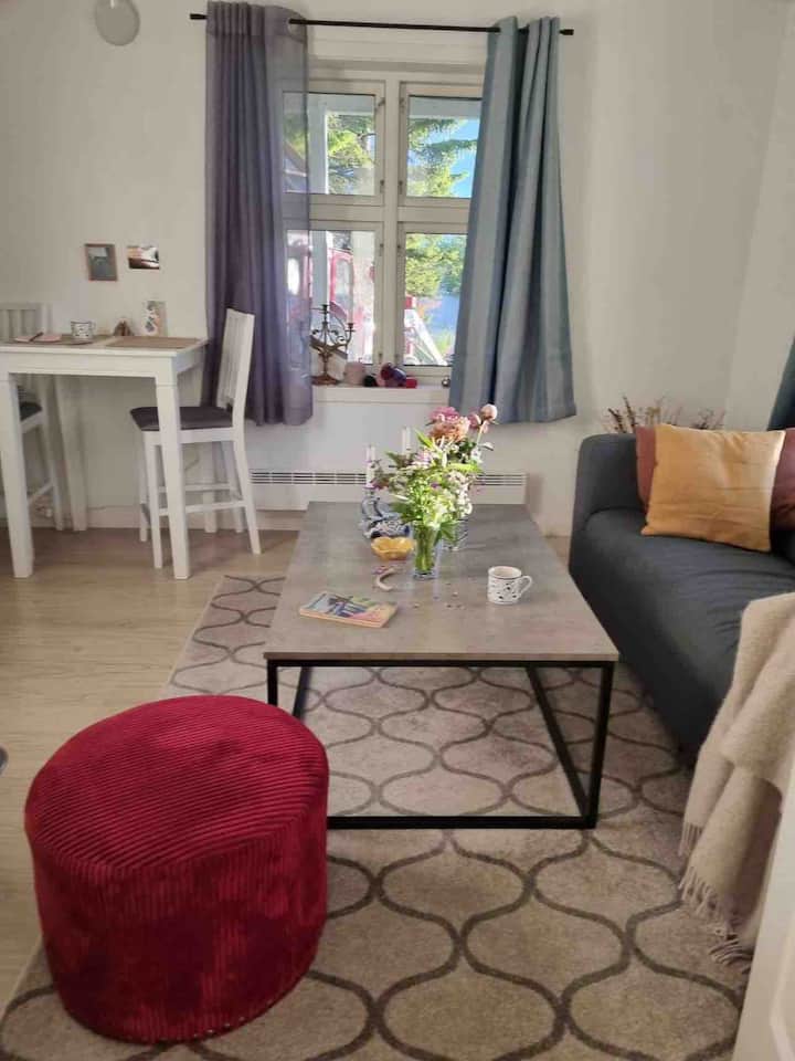 Apartment Close To Foodstore/bus Stop And Centre - Tromsø