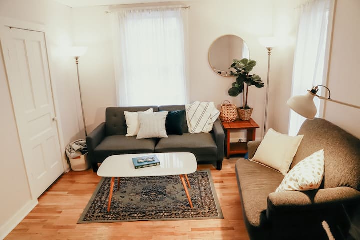 Two Separate Apartments Downtown Gr 2 Beds 2 Bath - Grand Rapids, MI