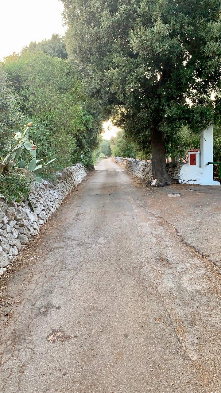 Villa Margherita, Apulian Countryside - Carovigno