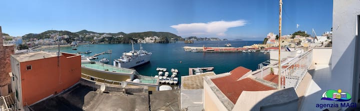 Appartamento Orchidea - Ponza