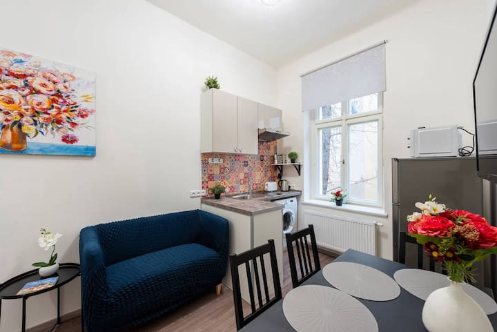 Cozy 2bdr Apt. Wenceslas Sq. 5min Walk (Navr) - Prague