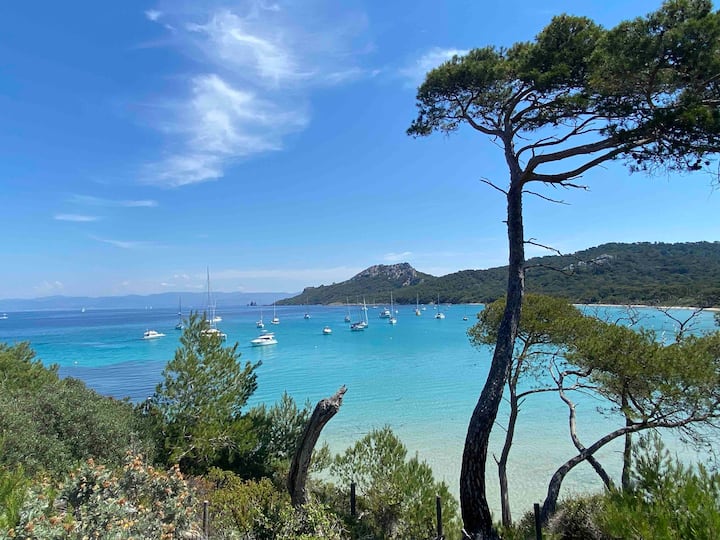 Studio Centre Ville Hyères - Hyères