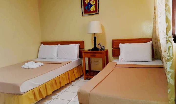 Priscilla City Guest House Bed And Breakfast - Butuan