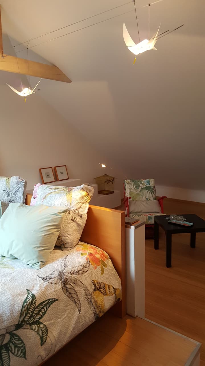Madre De Dios 3. La Chambre Aux Oiseaux. - Neufchâteau