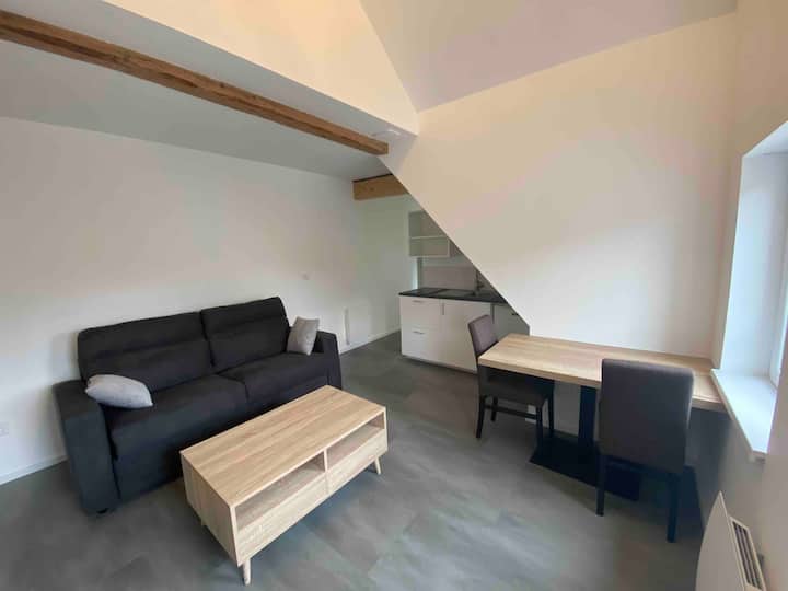 Strasbourg : Studio Au Calme - Strasbourg