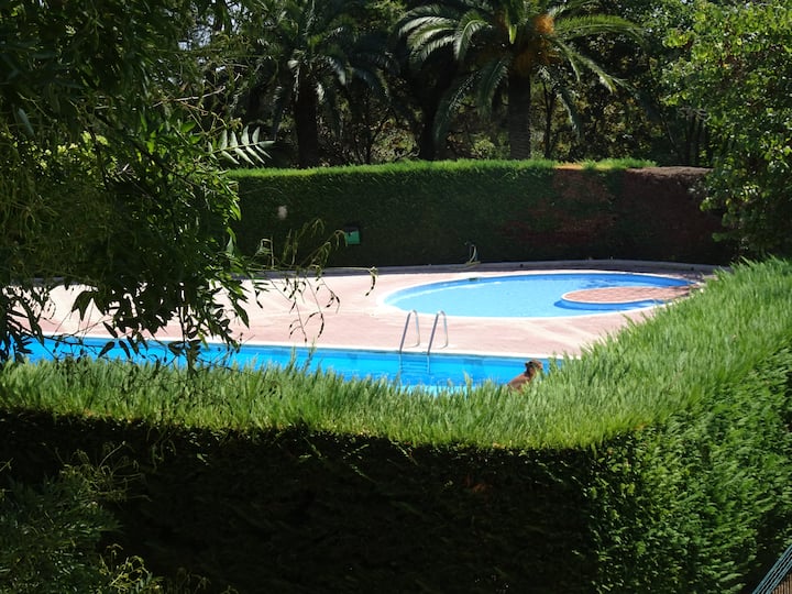 Appartement 3p Dans Grand Parc Arboré Avec Piscine - Golfe-Juan