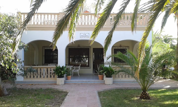 La Paloma Primera Línea - Dénia