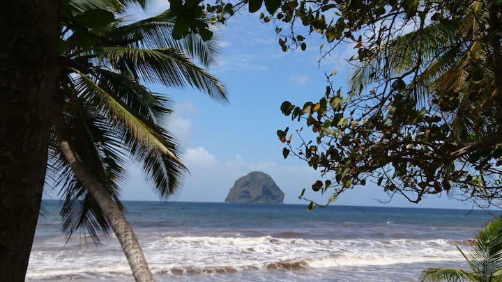 App 2p 50m Plage Du Diamant - Martinique