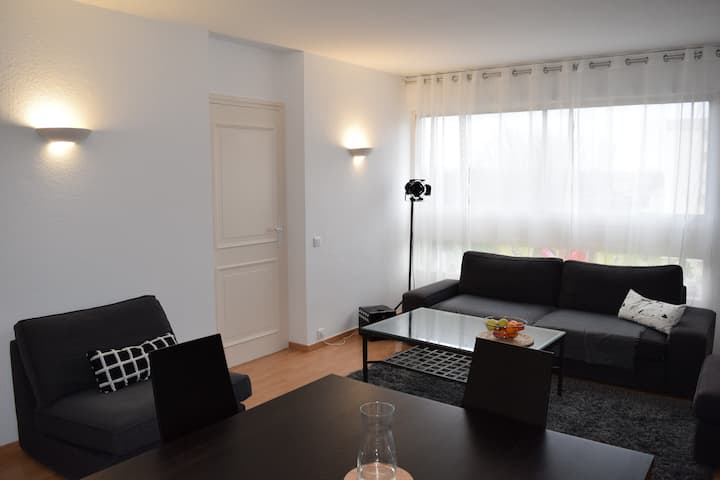 Spacious Flat Next To Geneva - Ferney-Voltaire