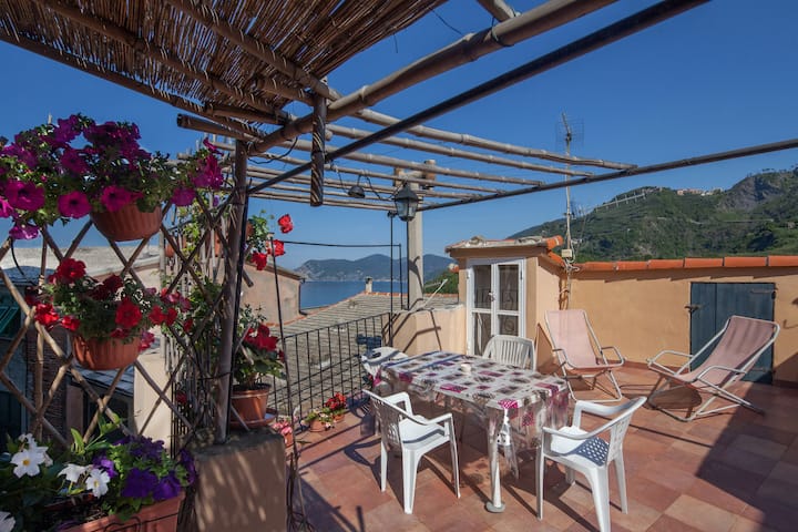 La Mansarda Citr: 011030-beb-0008 - Manarola