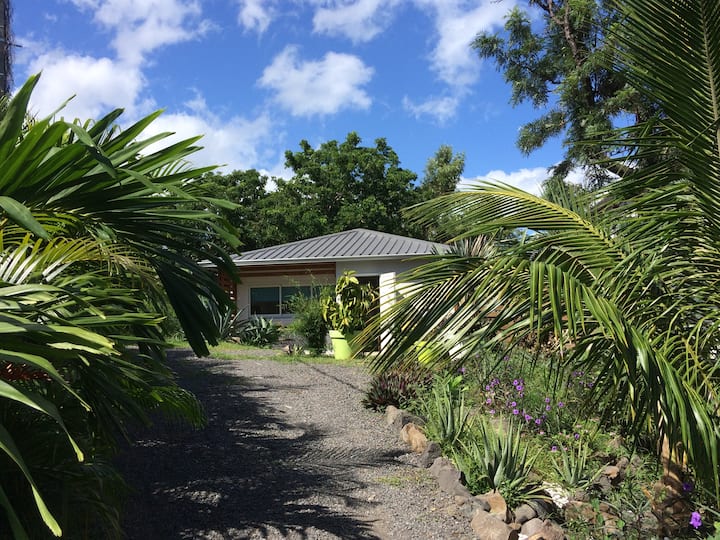 La Ravame à La Possession - La Réunion