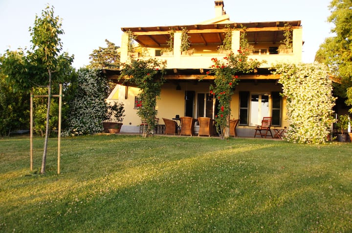 Casa Con Terrazza - Palmo Di Terra - Magliano in Toscana