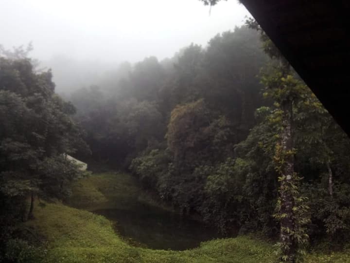 Hulivana - Sakleshpura