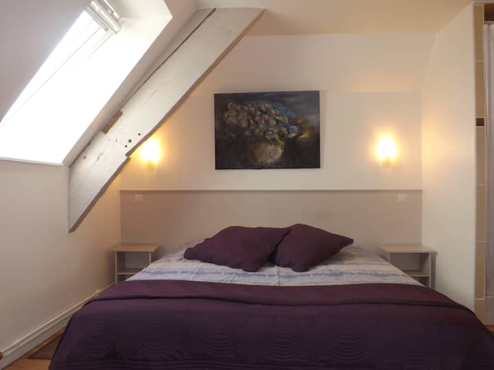 Nid Douillet Sous Les Toits Pour Vous 2 Ou 1 + 1 ! - Fougères